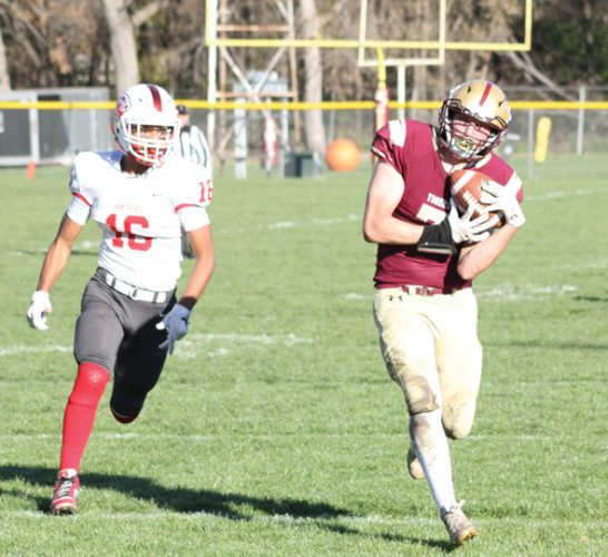 Panthers force 5 turnovers, top Tigers in 3A football playoffs | News ...